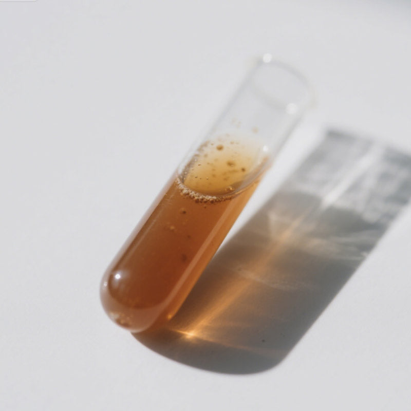 Yeast Culture/Yeast Extract – Comeboard